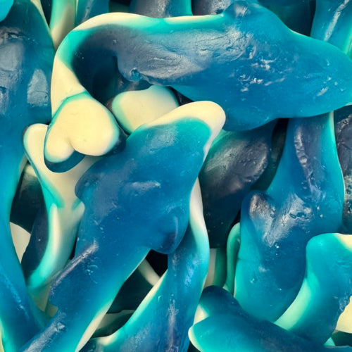 Giant Dolphin Jelly Sweets – Lollypop Lane